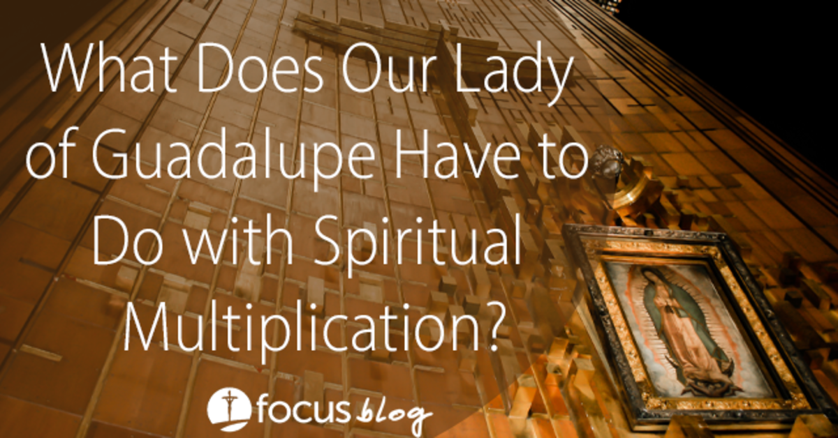What Does Our Lady of Guadalupe Have to Do with Spiritual ...